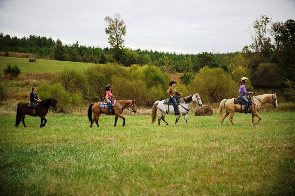 20 Great Dude Ranches Across America – Hospitality Management Degrees
