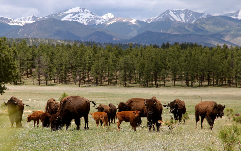 20 Great Dude Ranches Across America – Hospitality Management Degrees